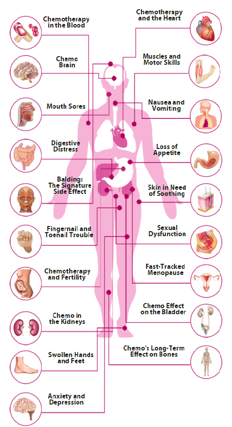 Chemotherapy Side Effects Diagram Chemotherapy PowerPoint And Google Chemotherapy Side Effects Diagram Chemotherapy PowerPoint And Google