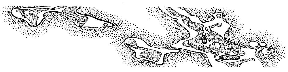 Paper - The development of the vascular system in the human embryo ...