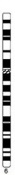 Molecular Development - Genetics - Embryology