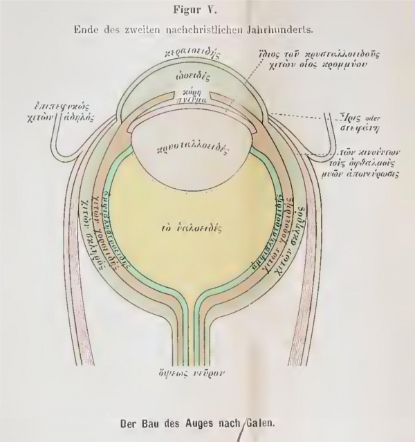 Book-Fathers of biology - Embryology
