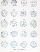 Paper - The Organization and Cell-Lineage of the Ascidian Egg - Embryology