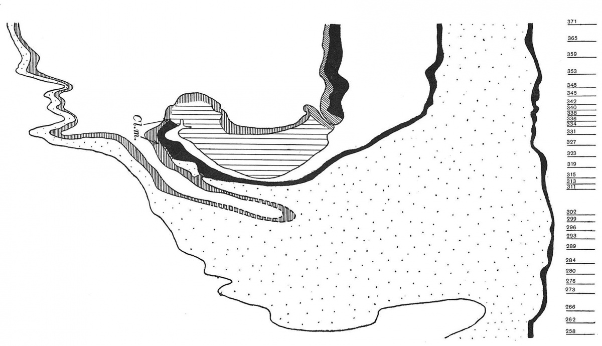 Paper - The Formation of the Connecting Stalk and the Extension of the ...