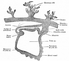Embryology History - Julius Kollmann - Embryology