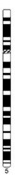 Molecular Development - Genetics - Embryology