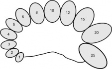 O - Embryology