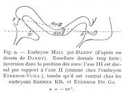 Embryology History - Wilhelm Roux - Embryology