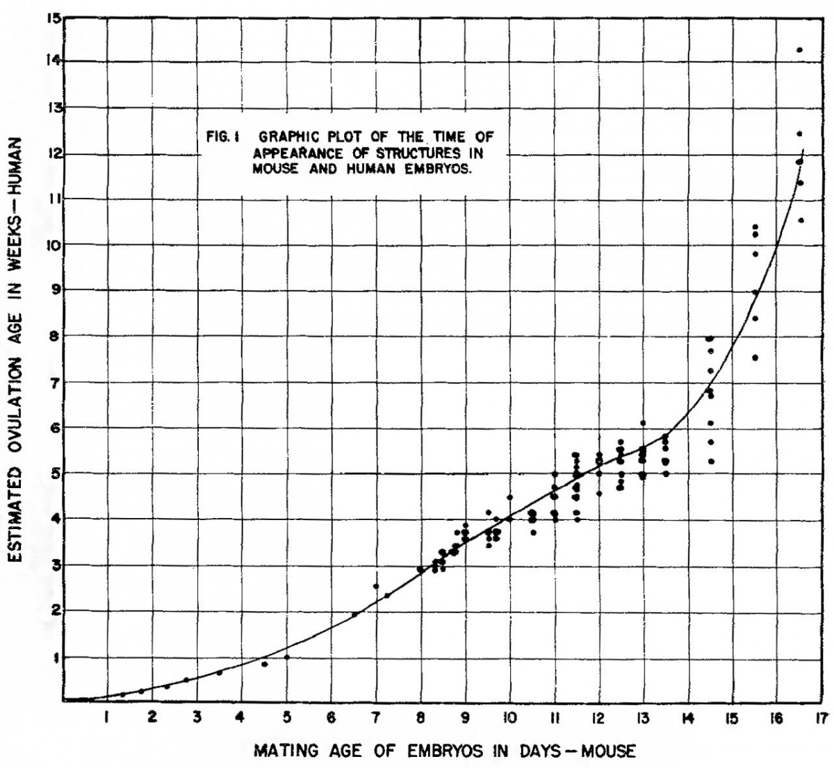 Paper - Equivalent ages in mouse and human embryos - Embryology