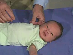 Postnatal Development - Embryology