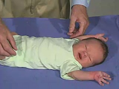 Postnatal Development - Embryology