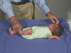 Postnatal Development - Embryology