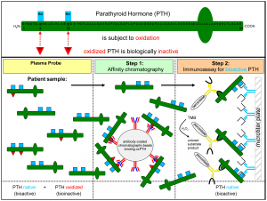 2014 Group Project 6 - Embryology